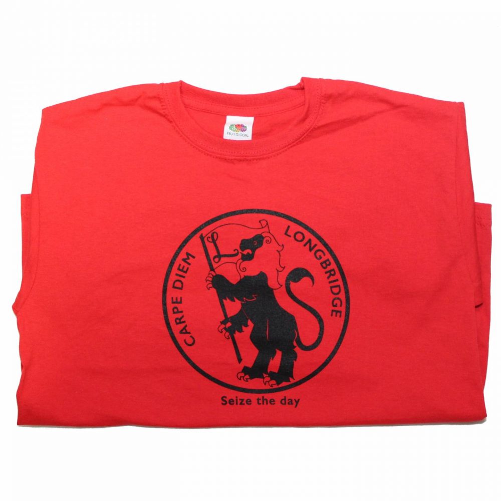 Castle Green | Manor Junior PE Top – Red (Longbridge)